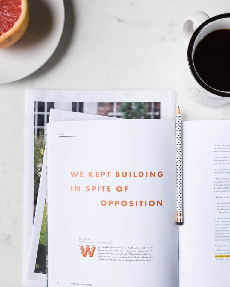 How To Read Truth With Us - She Reads Truth -She Reads Truth