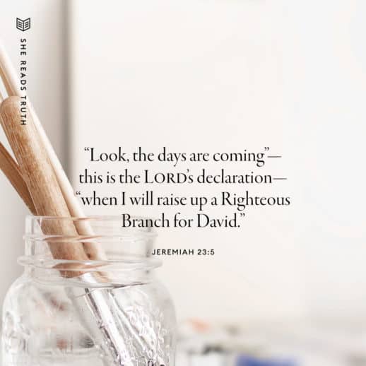 The Righteous Branch of David - She Reads Truth -She Reads Truth