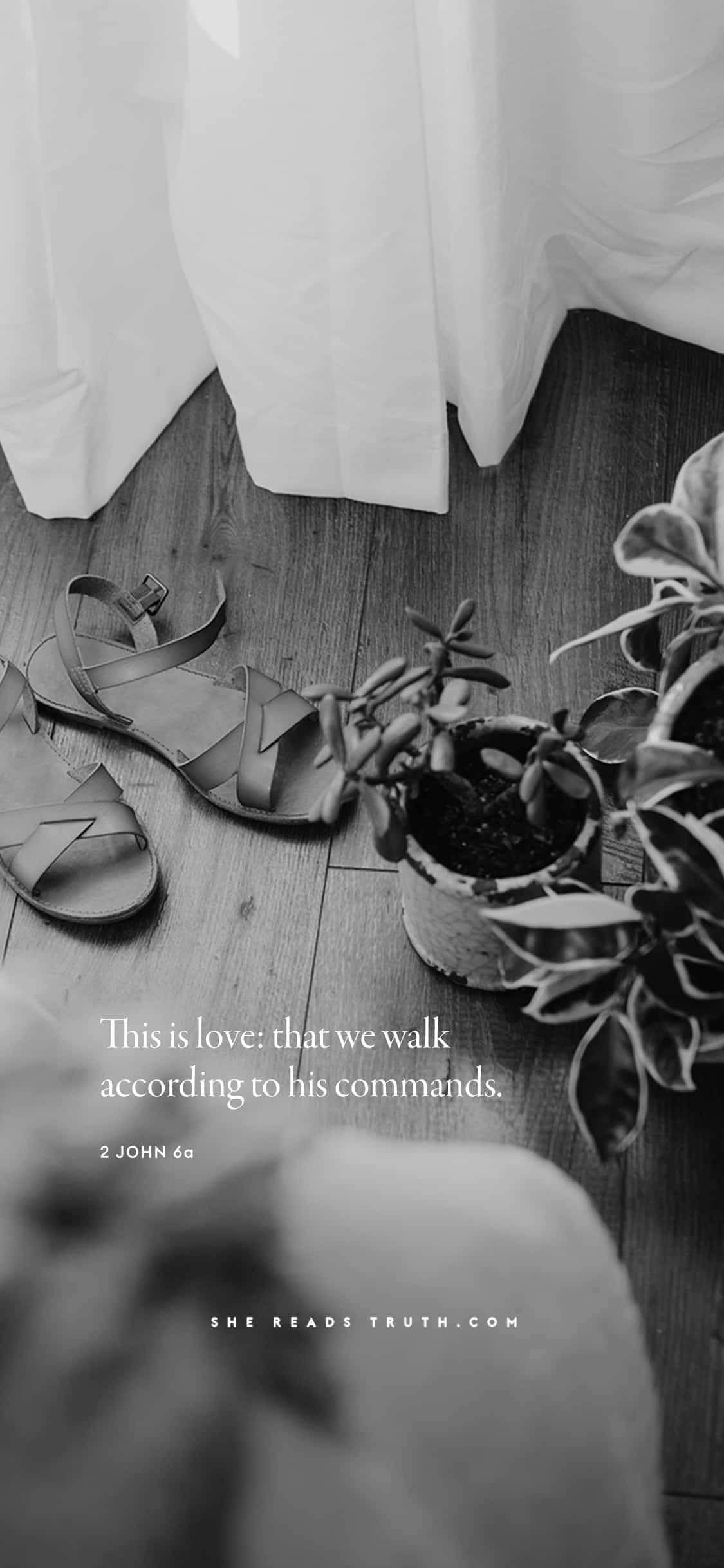 Weekly Truth - She Reads Truth -She Reads Truth