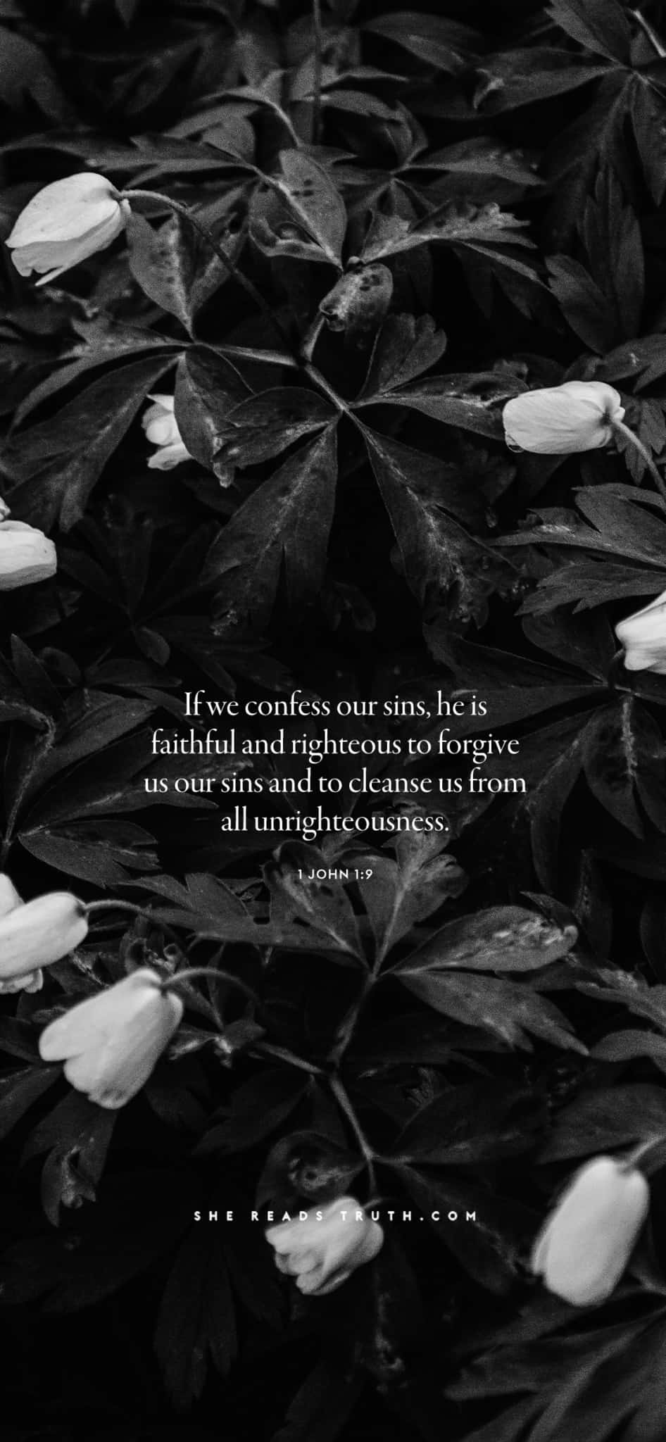 Weekly Truth - She Reads Truth -She Reads Truth