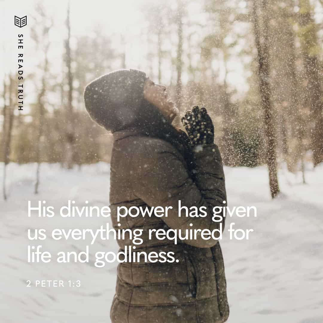 Apply Truth Appropriately - She Reads Truth -She Reads Truth