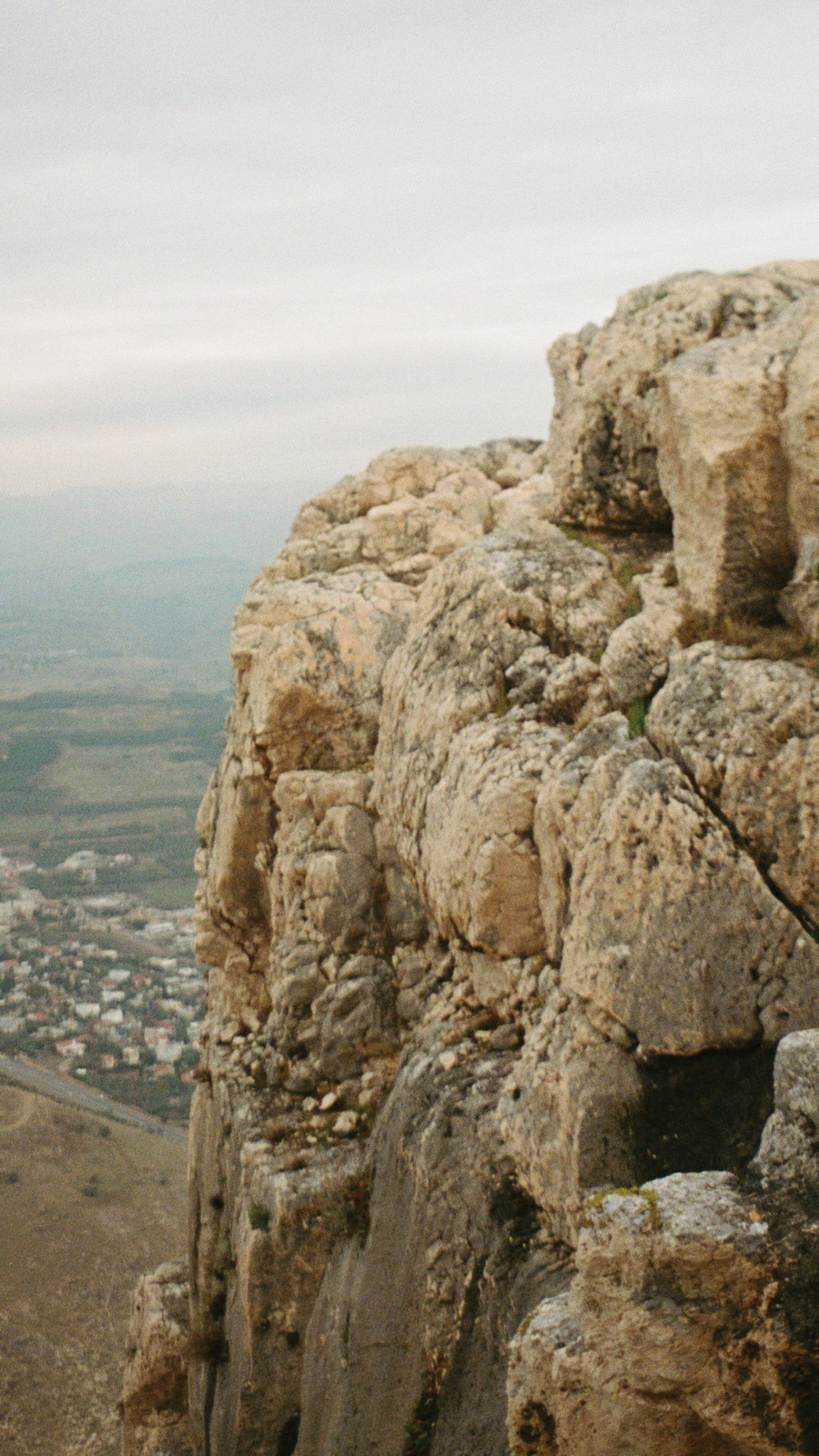 An Altar of Witness - She Reads Truth -She Reads Truth