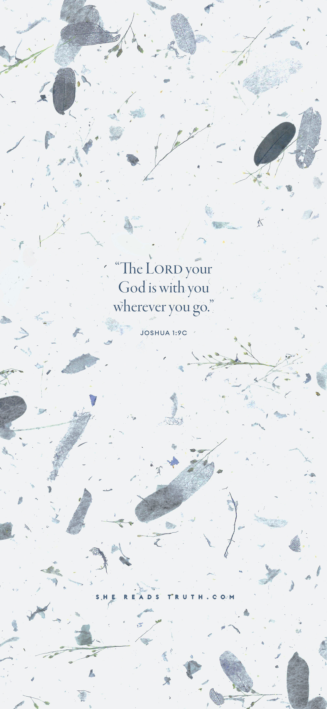 Weekly Truth - She Reads Truth -She Reads Truth