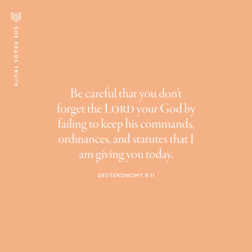 Remember the Lord - She Reads Truth -She Reads Truth