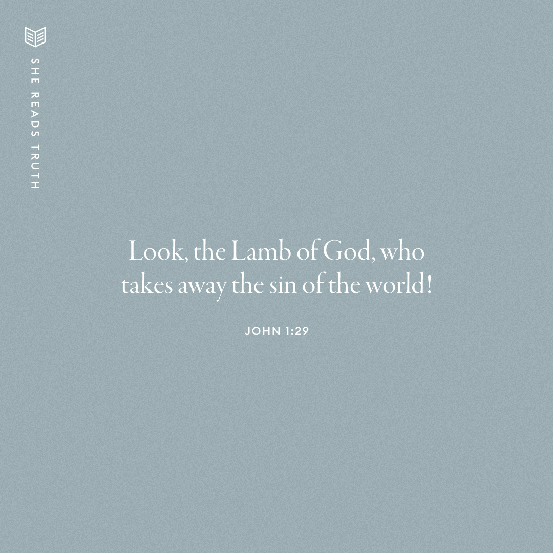 Bible Verse John 1 29