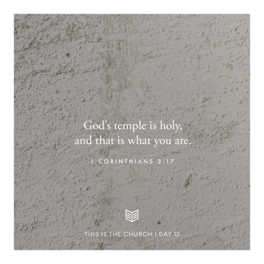 The Temple of the Living God - She Reads Truth -She Reads Truth