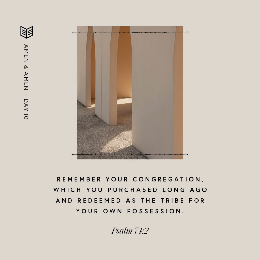 Asking God to Remember - She Reads Truth -She Reads Truth