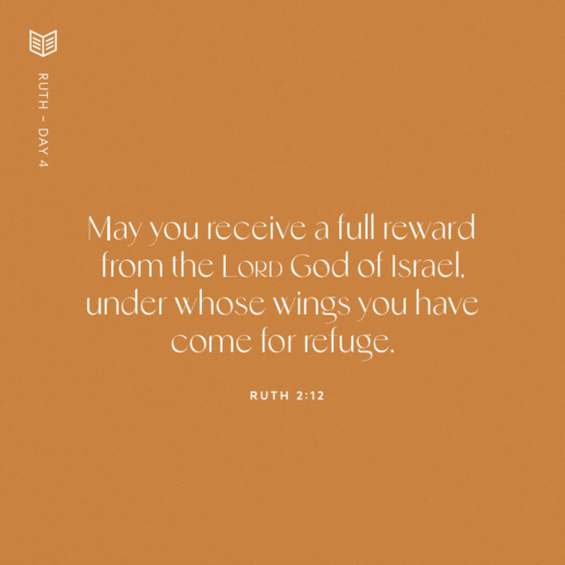 Boaz's Kindness to Ruth - She Reads Truth -She Reads Truth