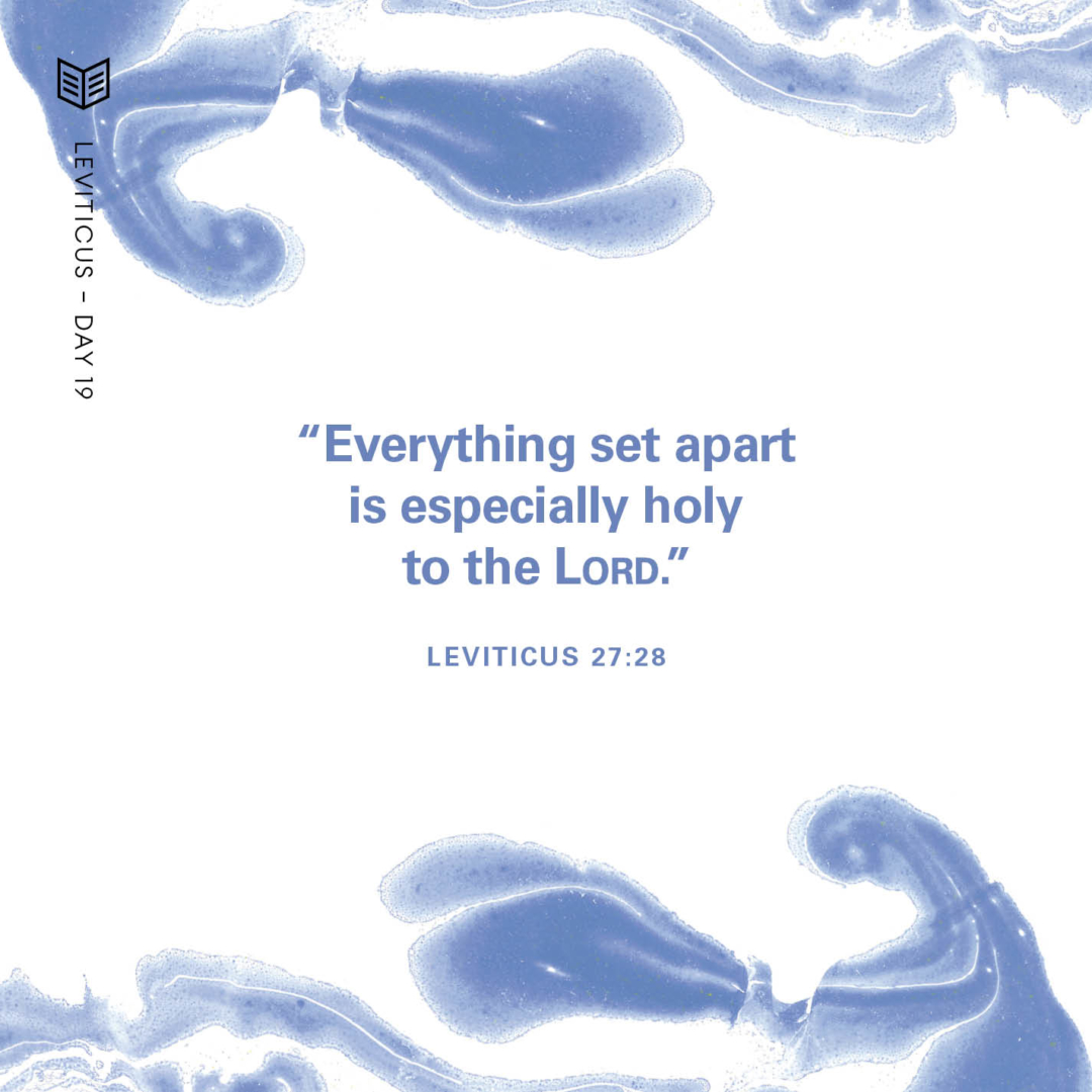 Vows to the Lord - She Reads Truth -She Reads Truth