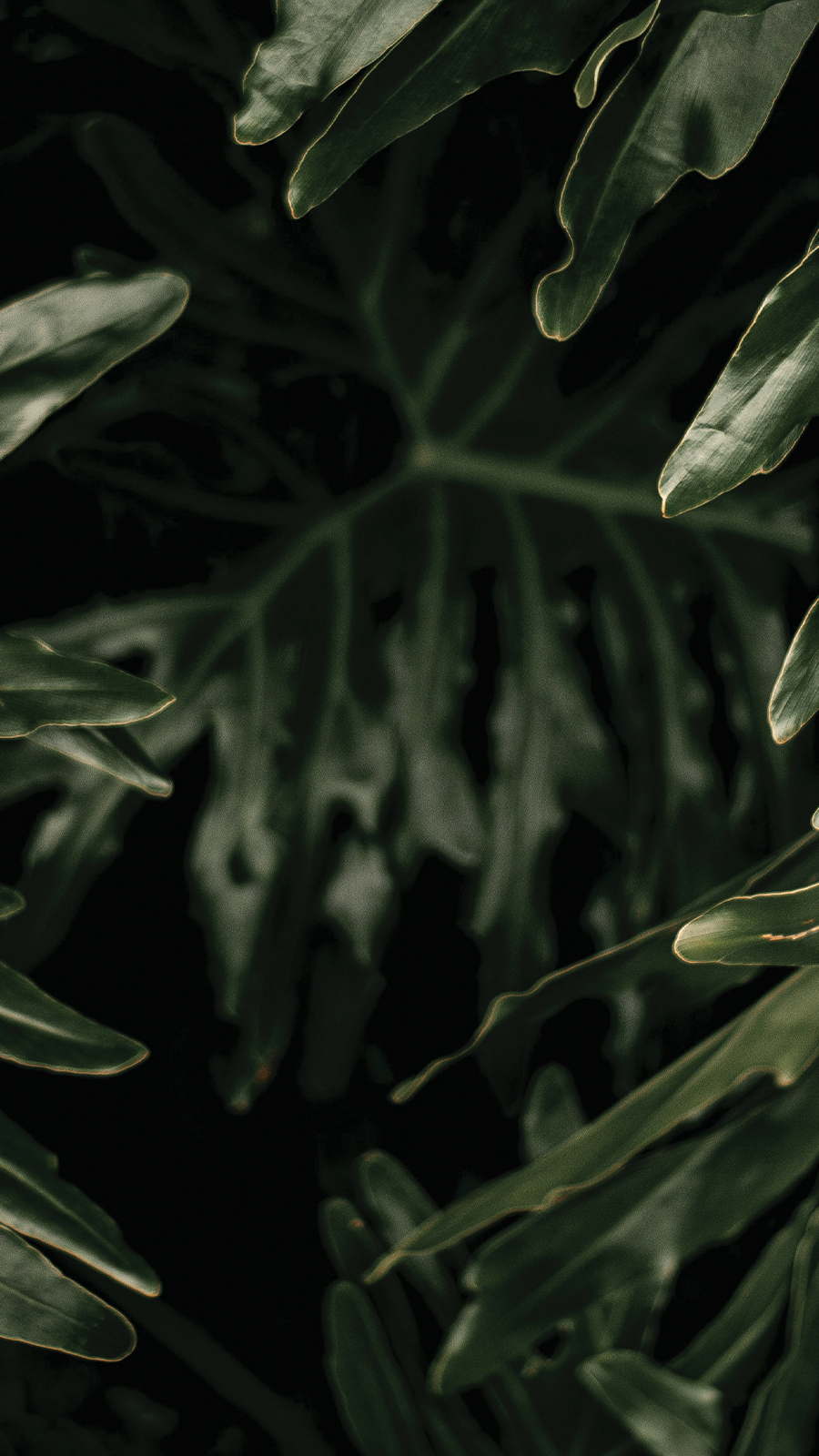 Weekly Truth - She Reads Truth -She Reads Truth