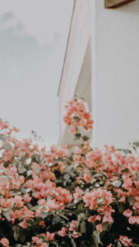 Weekly Truth - She Reads Truth -She Reads Truth