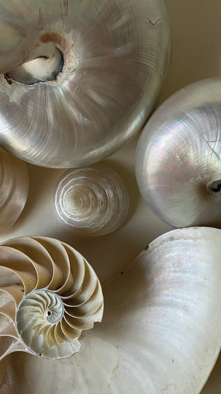 Weekly Truth - She Reads Truth -She Reads Truth