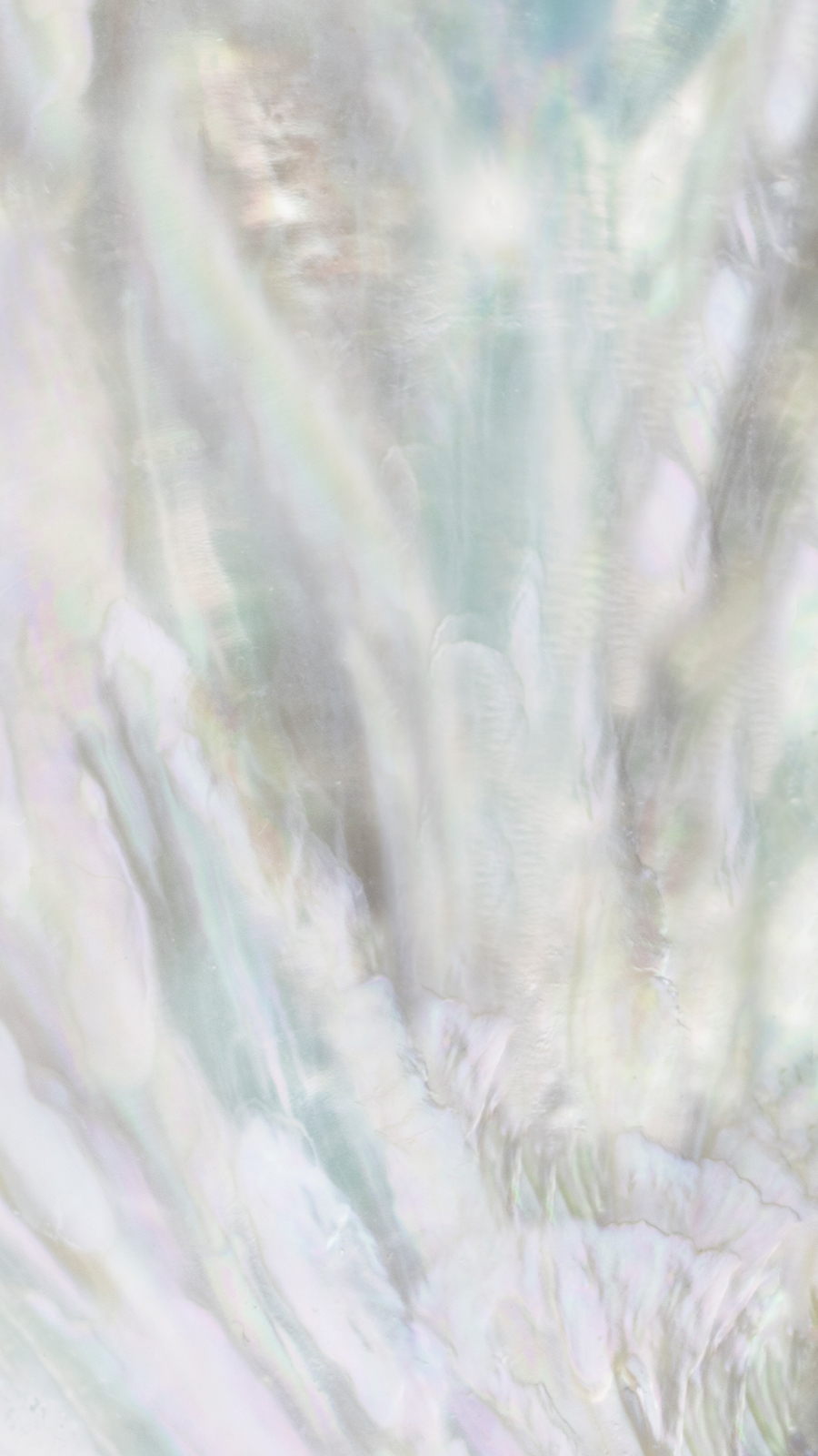 Weekly Truth - She Reads Truth -She Reads Truth