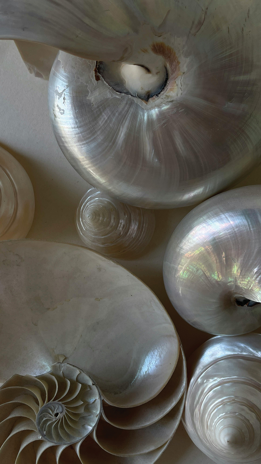 Weekly Truth - She Reads Truth -She Reads Truth