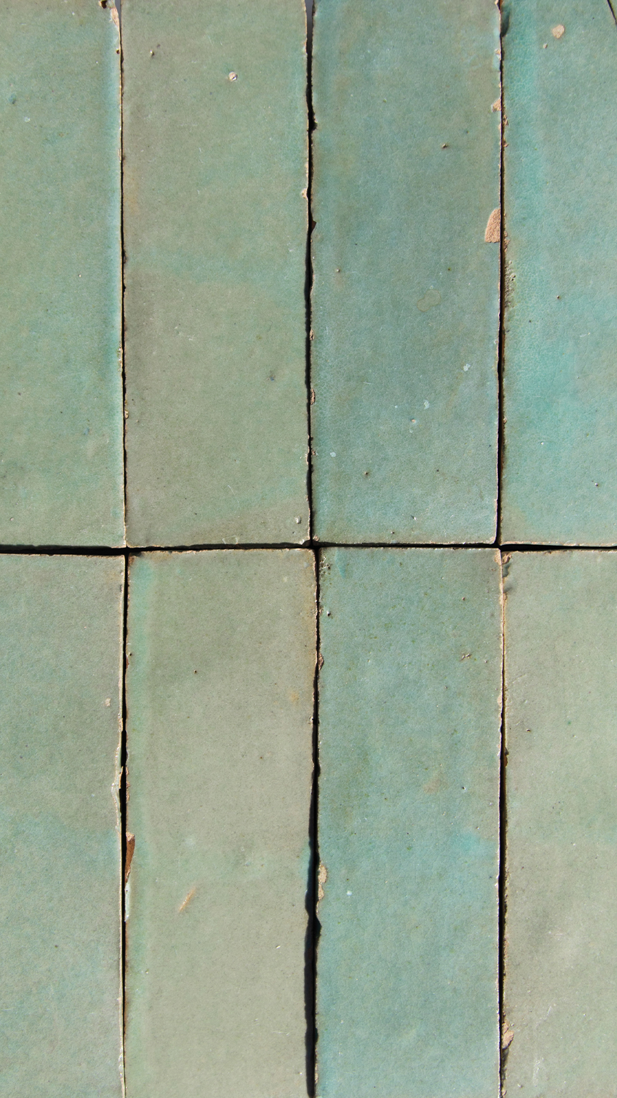 Grace Day - She Reads Truth -She Reads Truth