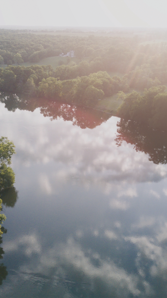 Weekly Truth - She Reads Truth -She Reads Truth