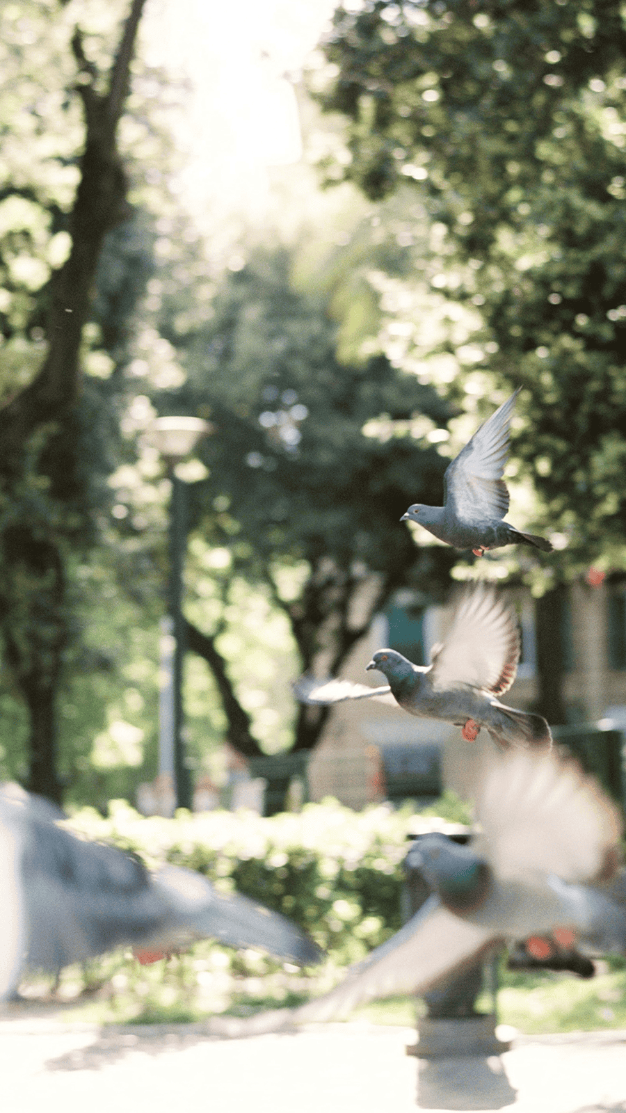 Grace Day - She Reads Truth -She Reads Truth