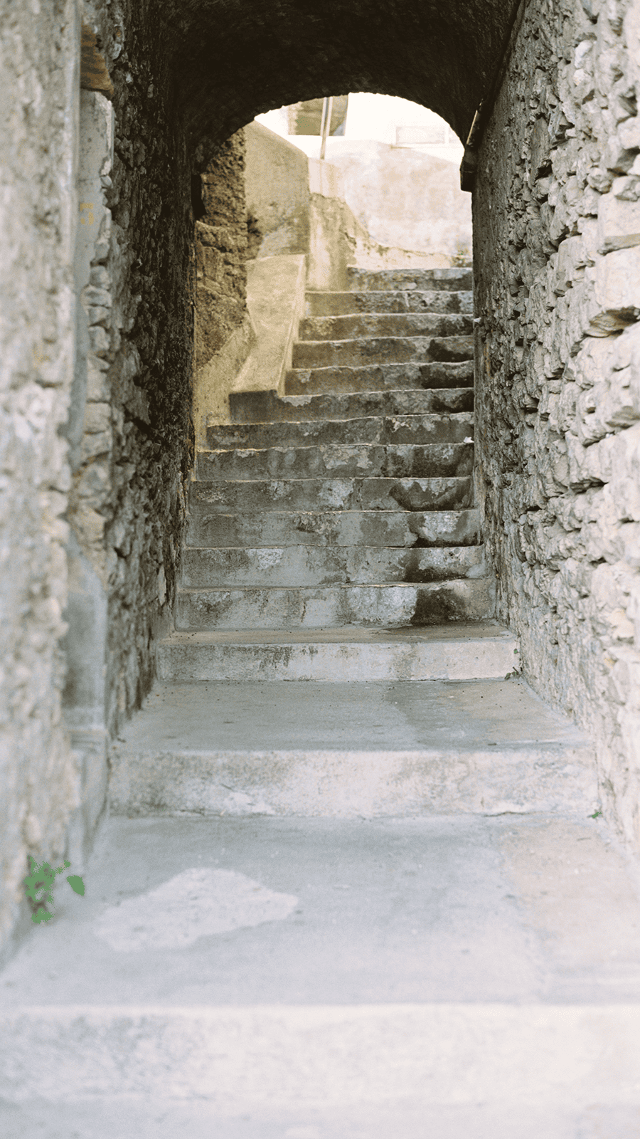 I Will Make Everything New - She Reads Truth -She Reads Truth