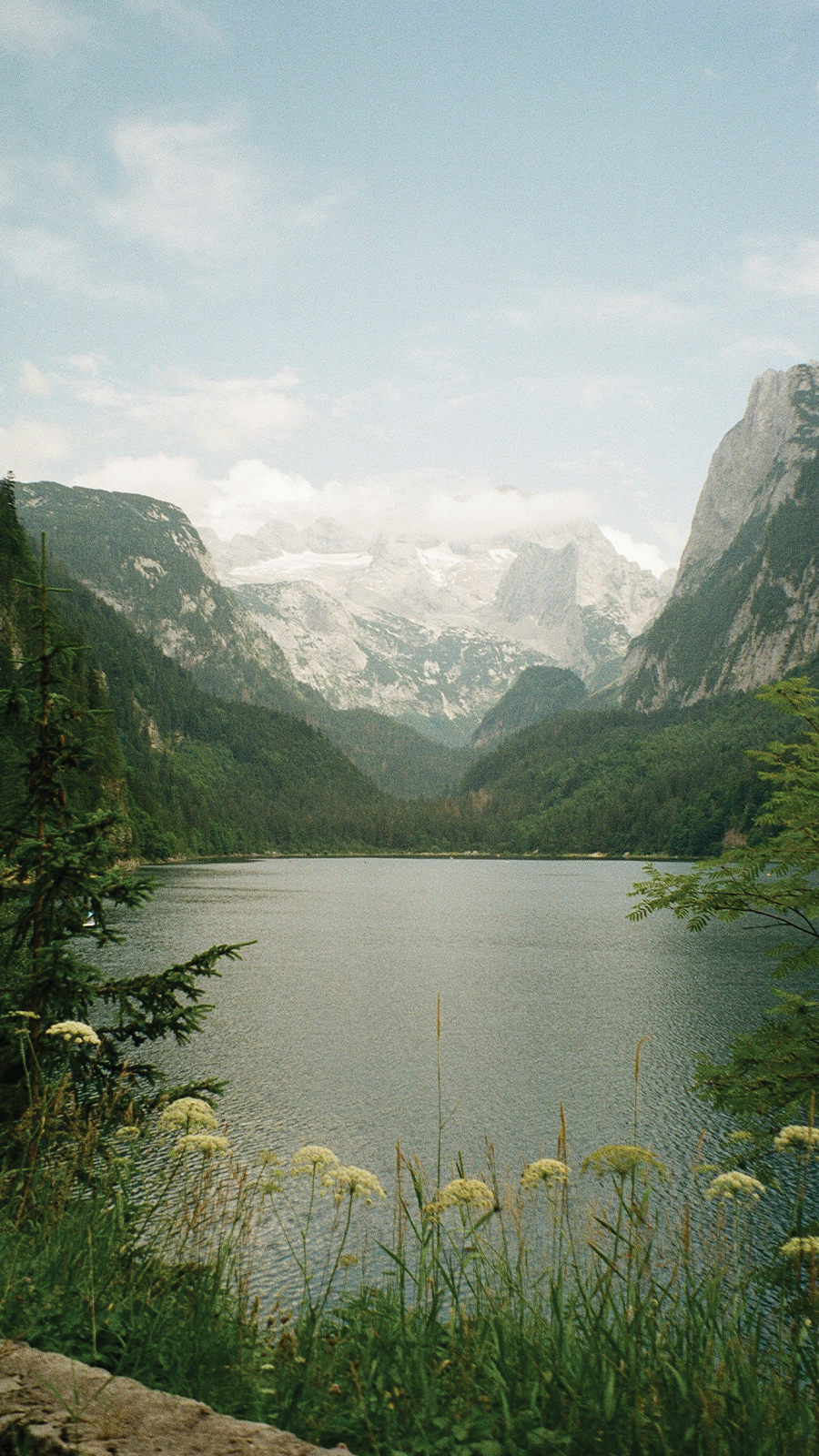 The Ways of Wisdom and Folly - She Reads Truth -She Reads Truth