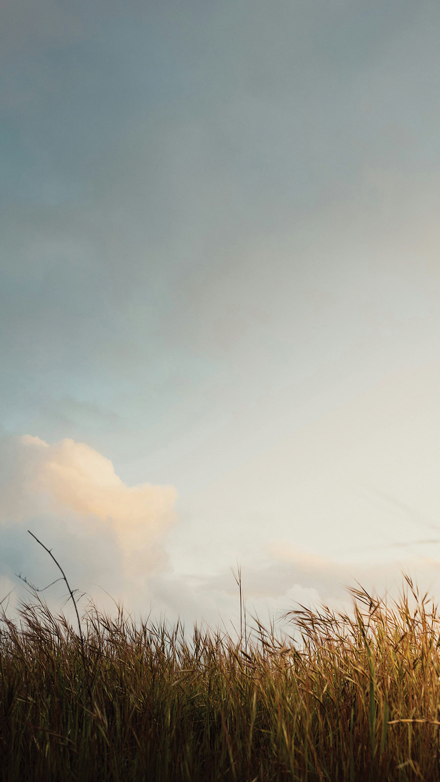 The Innocent One Is Crucified - She Reads Truth -She Reads Truth