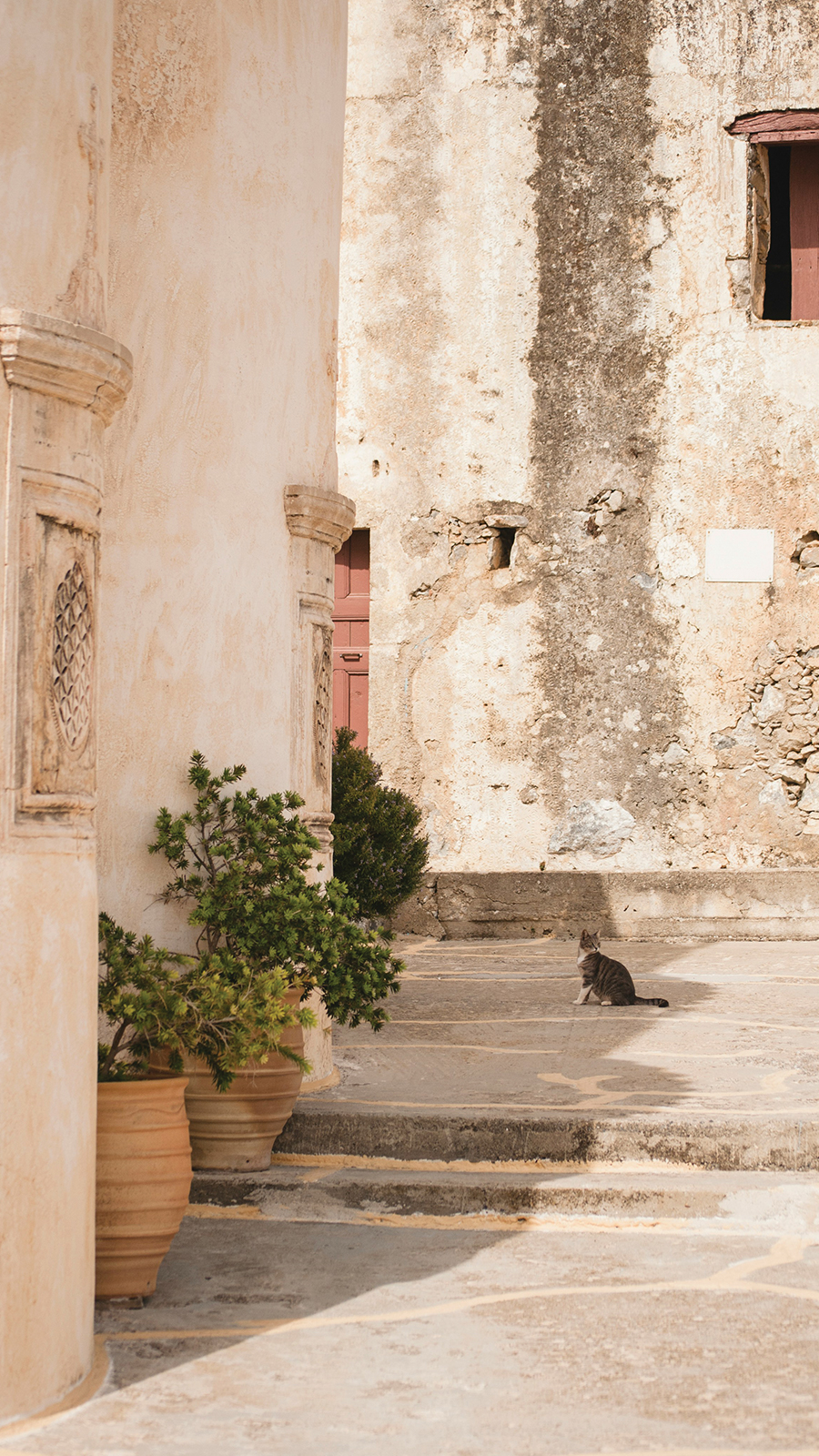 Weekly Truth - She Reads Truth -She Reads Truth