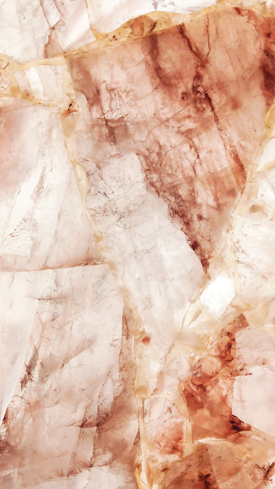 Grace Day - She Reads Truth -She Reads Truth