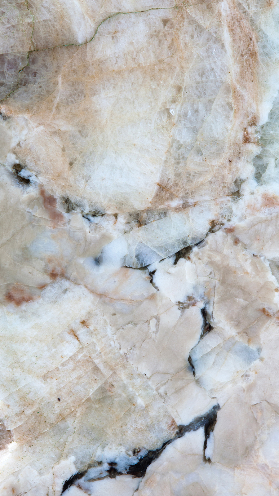 Weekly Truth - She Reads Truth -She Reads Truth