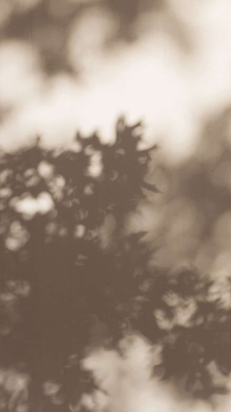 Grace Day - She Reads Truth -She Reads Truth