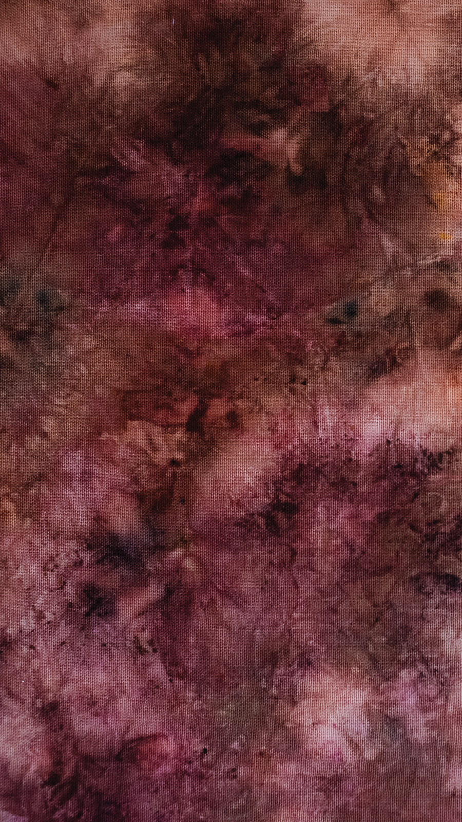 Weekly Truth - She Reads Truth -She Reads Truth